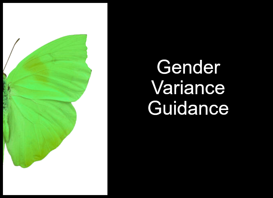 Gender Variance Guidance – Highland Council Psychological Service